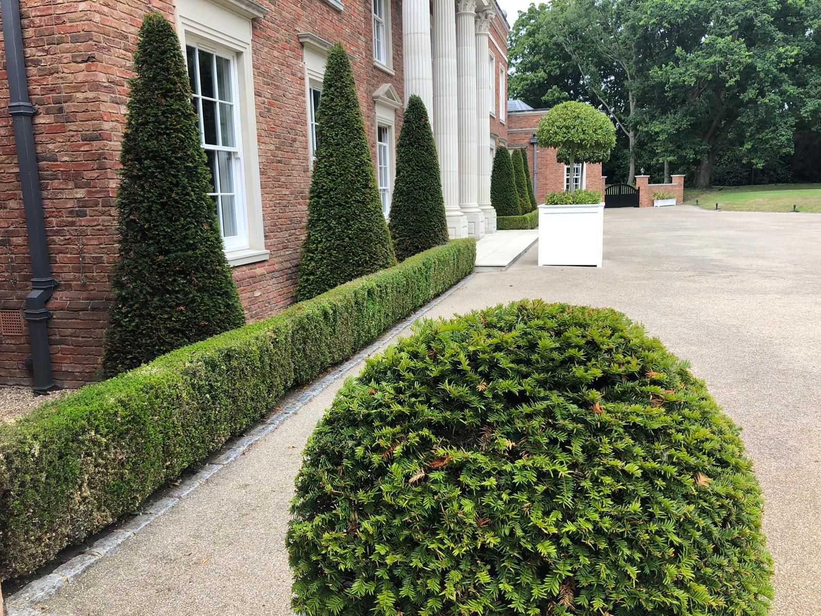 Mark Finch Garden & Grounds Maintenance | Landscape Gardener